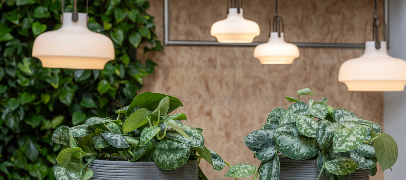 STYLING / Industrial Style Indoor Greenery - Hortology