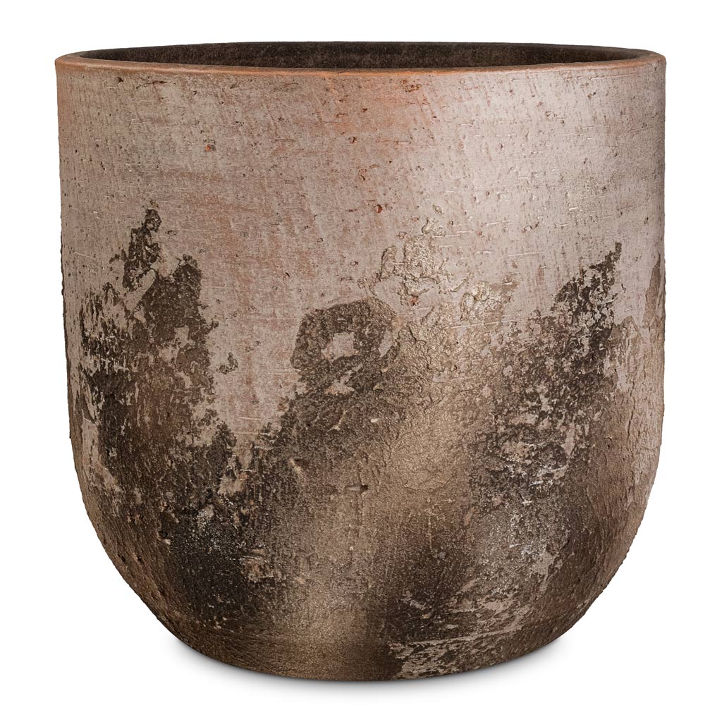 Albero Plant Pot - Cement - Quality Plant Pots | Hortology - HORTOLOGY