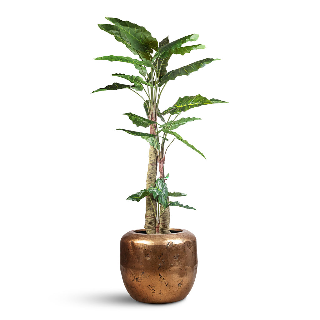 Opus Raw Couple Planter - Gold - Quality Planters | Hortology - HORTOLOGY
