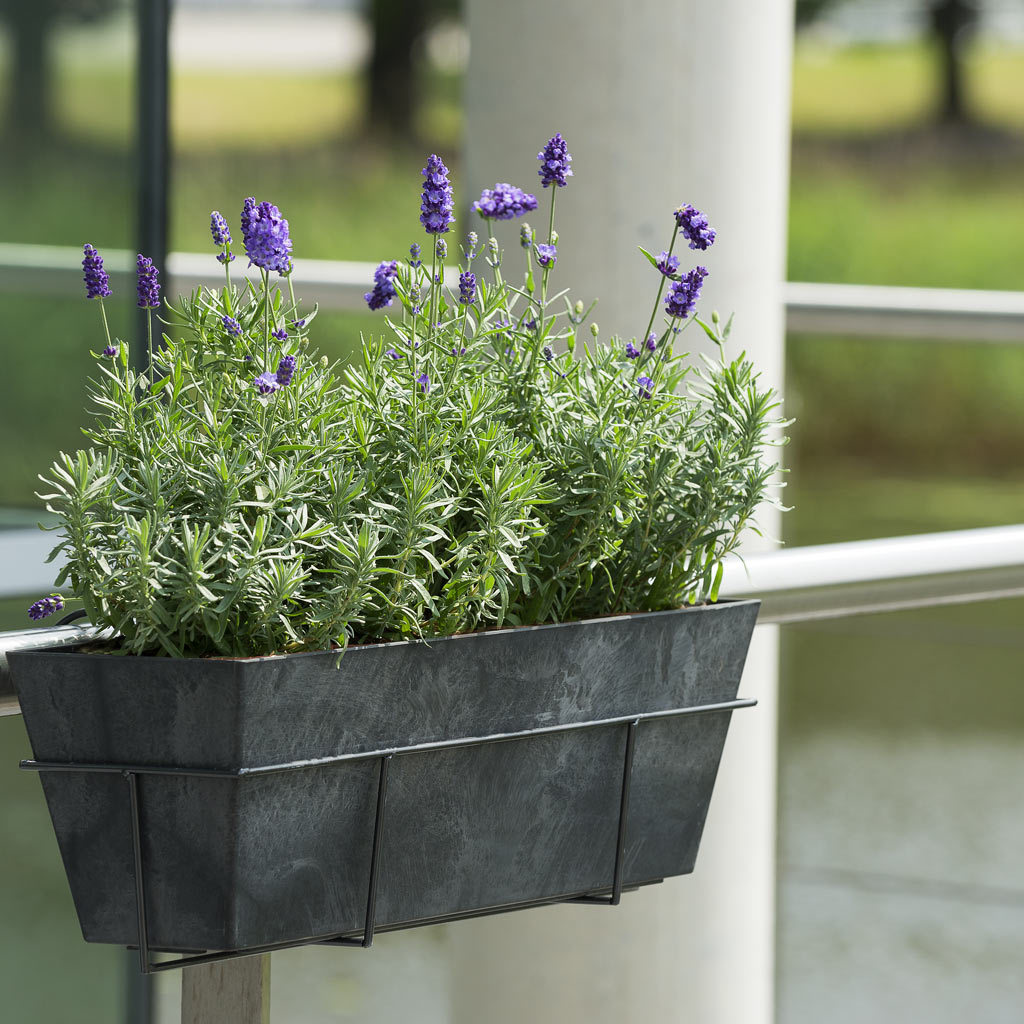 Ella Artstone Balcony Trough Planter - Black | Hortology - HORTOLOGY