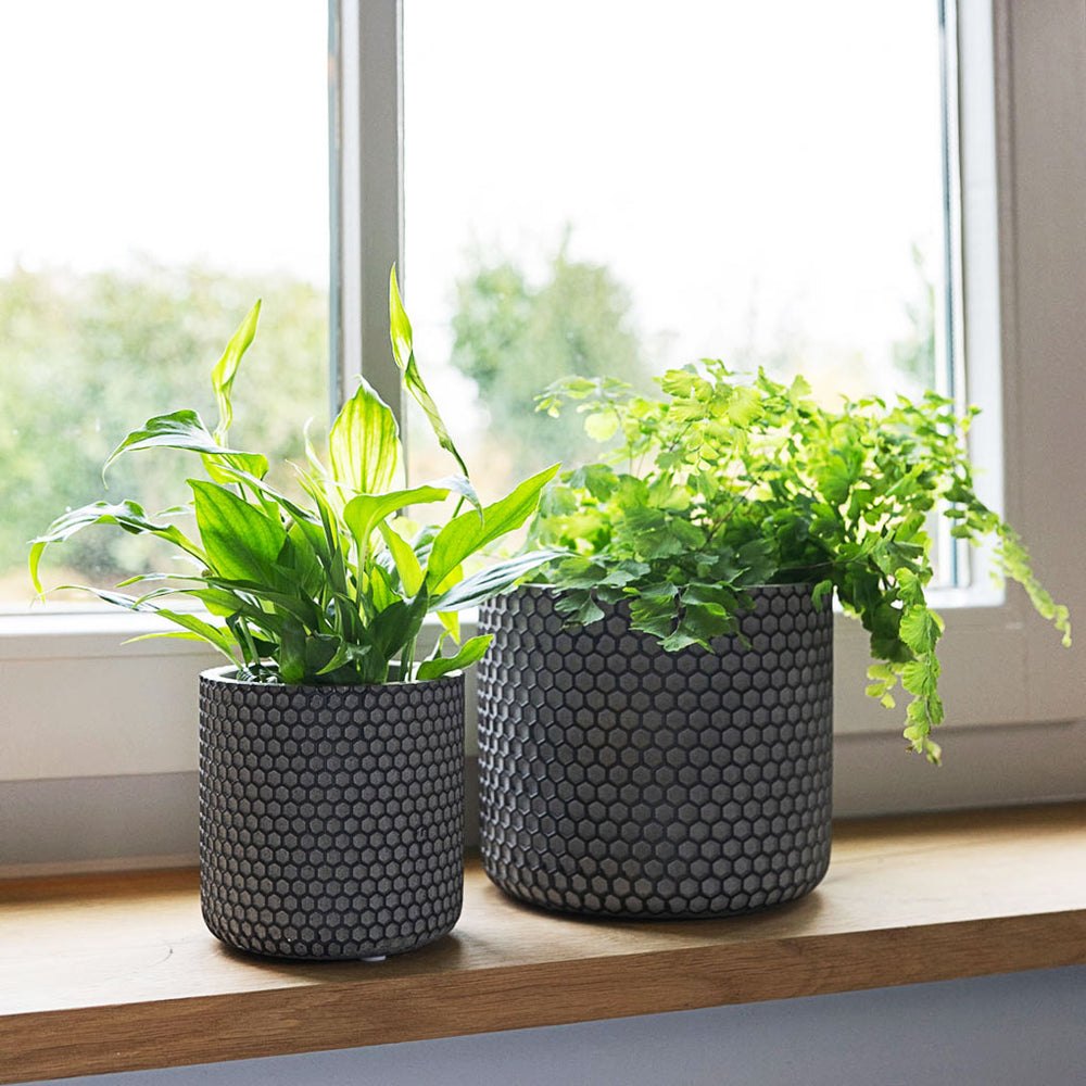 Bernt Plant Pot - Shiny Black - Quality Plant Pots | Hortology - HORTOLOGY