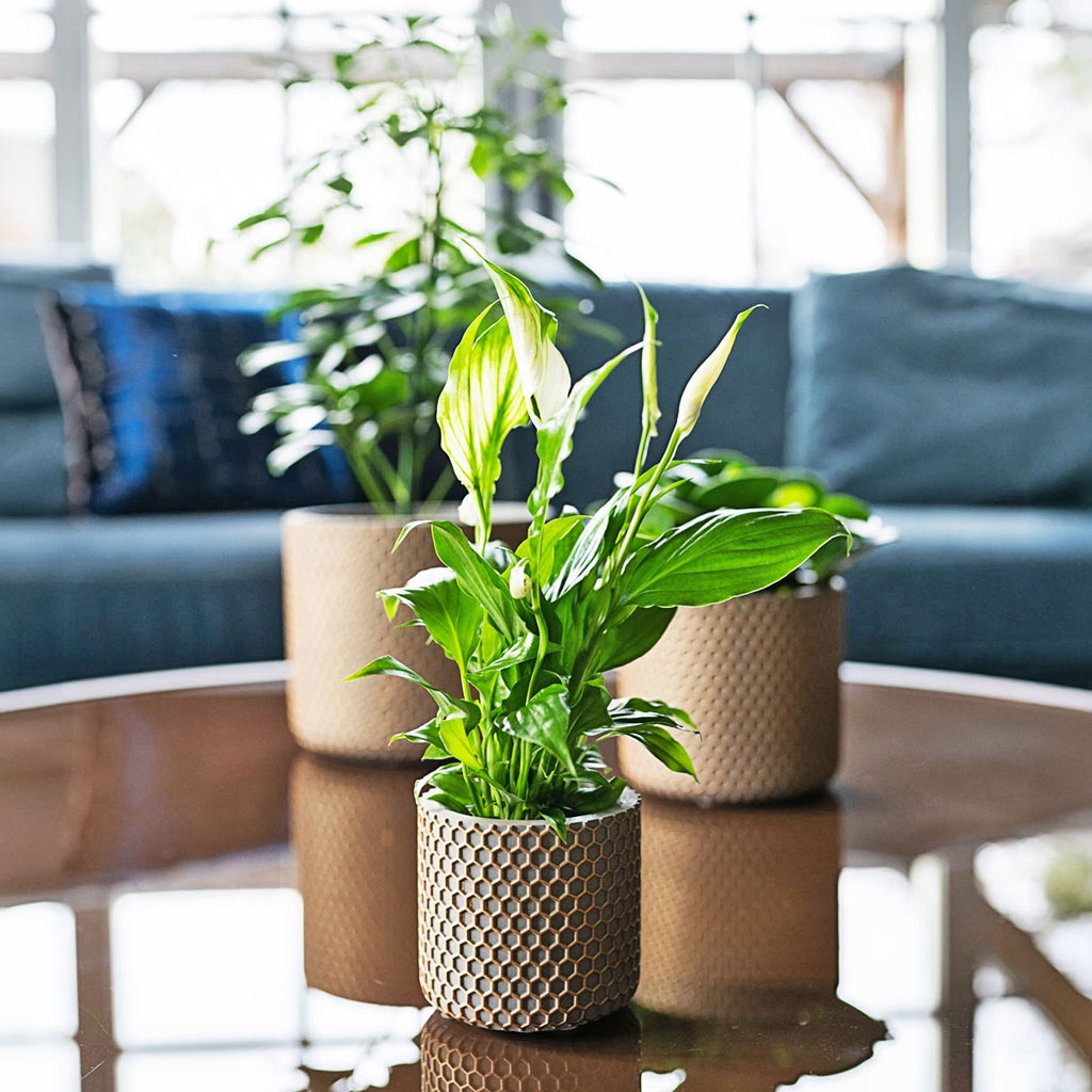 Bernt Plant Pot - Shiny Gold - Quality Plant Pots | Hortology - HORTOLOGY