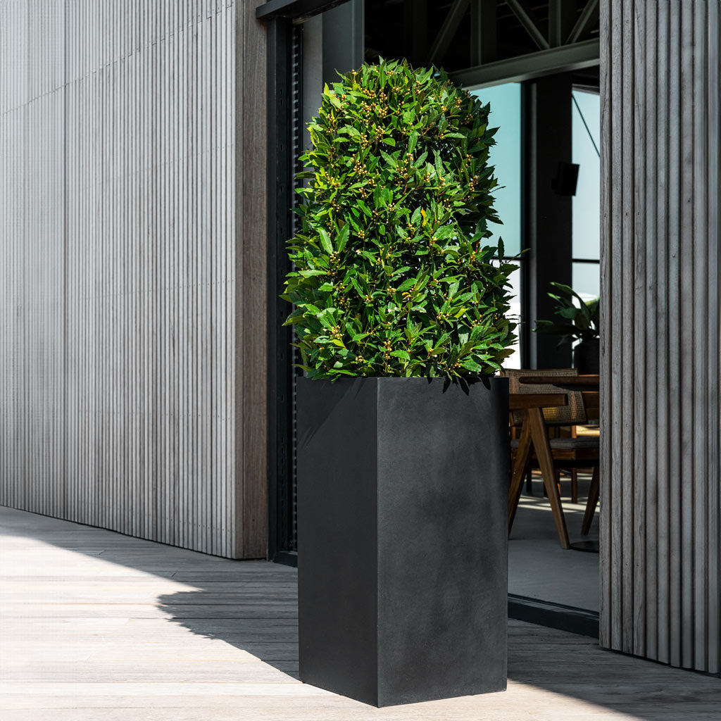 Bouvy Natural Planter - Black - Tall Rectangular Planters | Hortology ...
