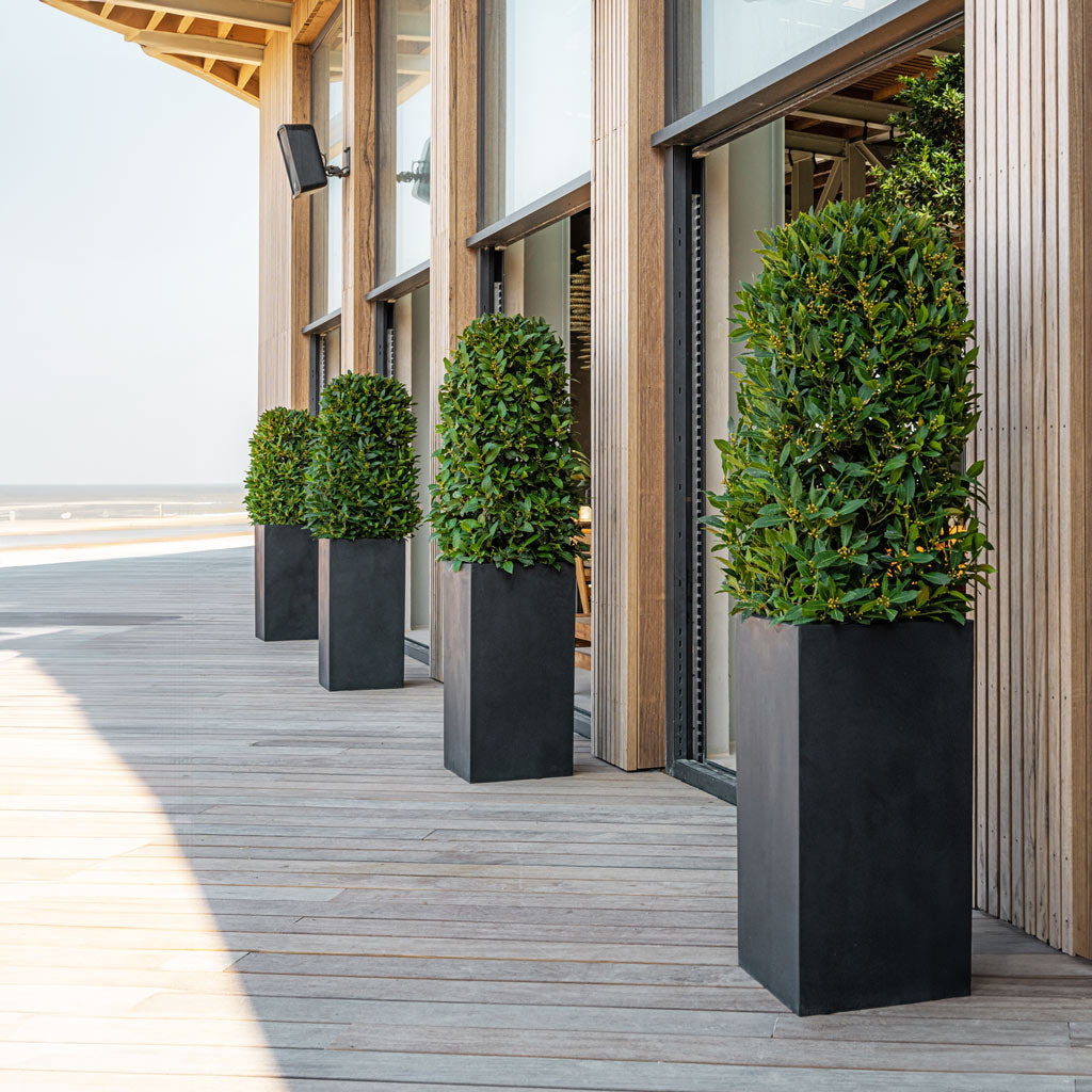 Bouvy Natural Planter - Black - Tall Rectangular Planters | Hortology ...