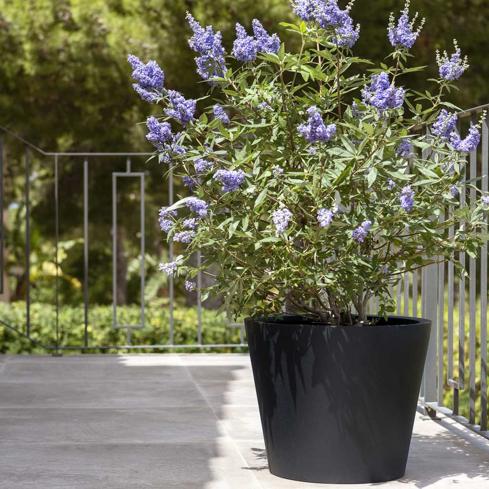 Bucket Natural Planter - Black - Quality Planters | Hortology - HORTOLOGY
