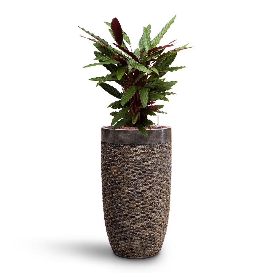 Luxe Lite Layer Partner Planter - Bronze Planters | Hortology