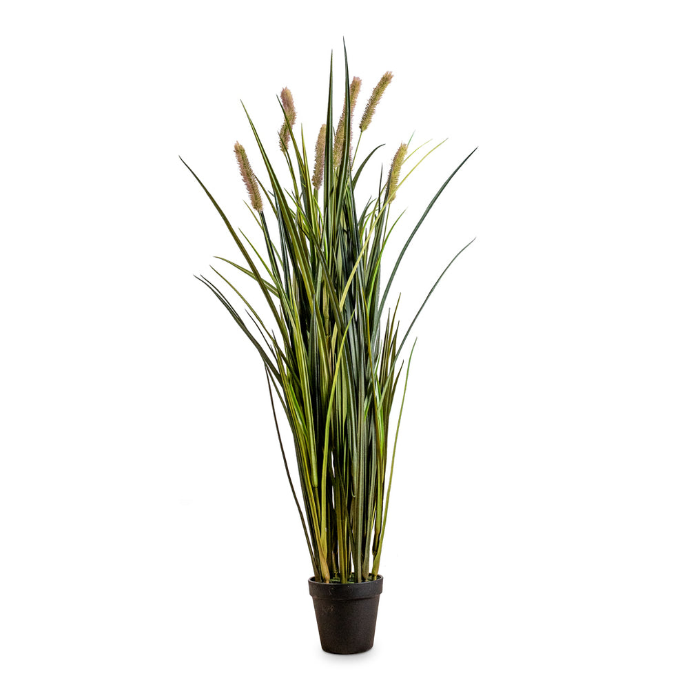 Cattails Grass - Quality Artificial Plants | HORTOLOGY