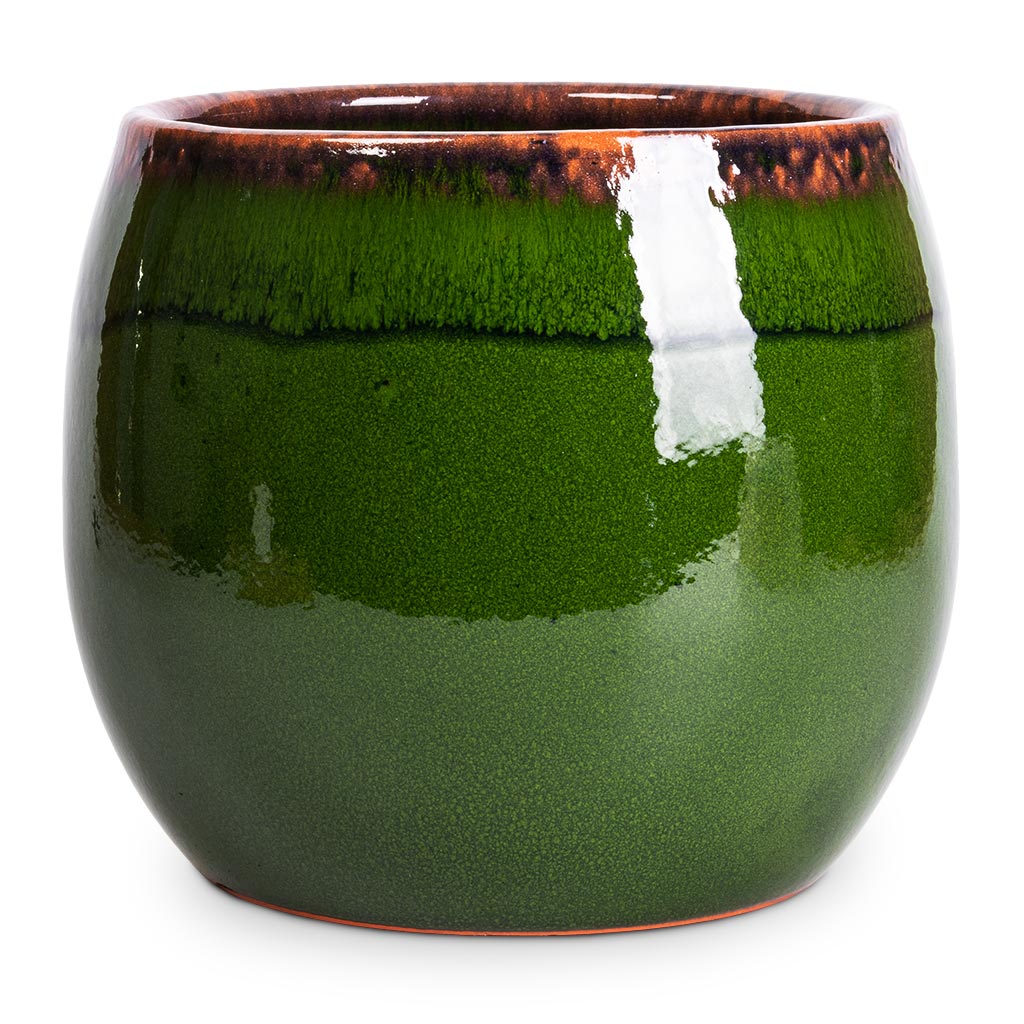 Charlotte Plant Pot - Green - Quality Indoor Plant Pots | Hortology ...