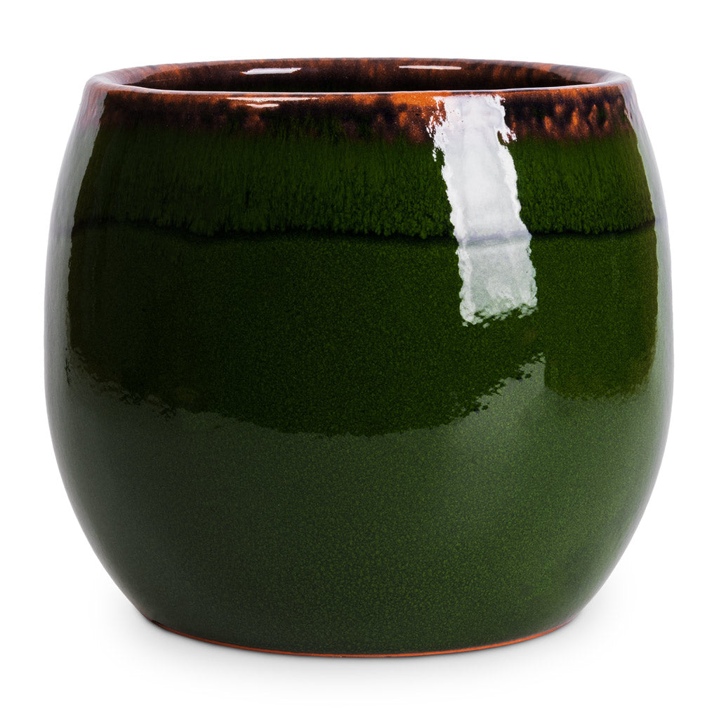 Green Indoor Plant Pots - Quality Indoor Plant Pots | Hortology - HORTOLOGY