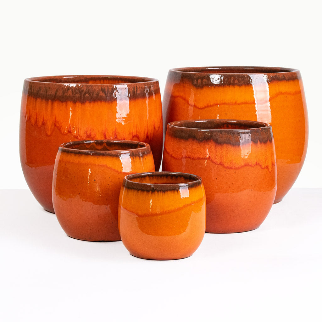 Charlotte Plant Pot - Orange - Quality Indoor Pots | Hortology - HORTOLOGY