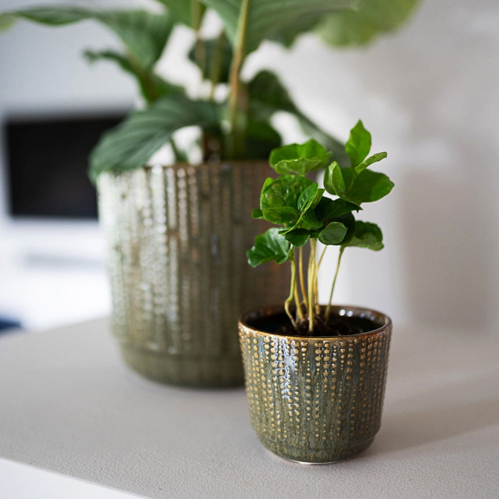 Cille Plant Pot - Forest - Quality Plant Pots | Hortology - HORTOLOGY