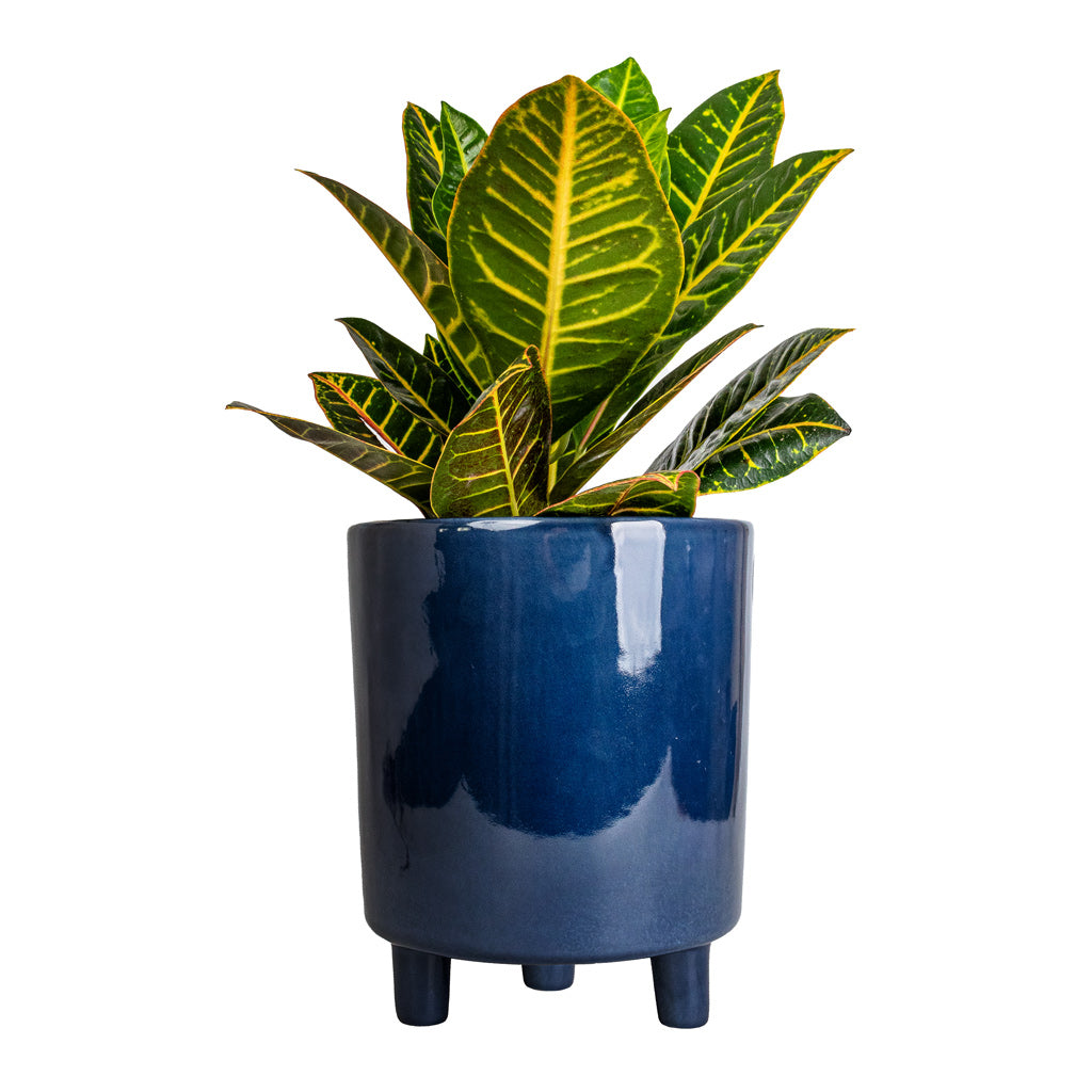 Pisa Plant Pot - Navy - Quality Plant Pots | Hortology - HORTOLOGY