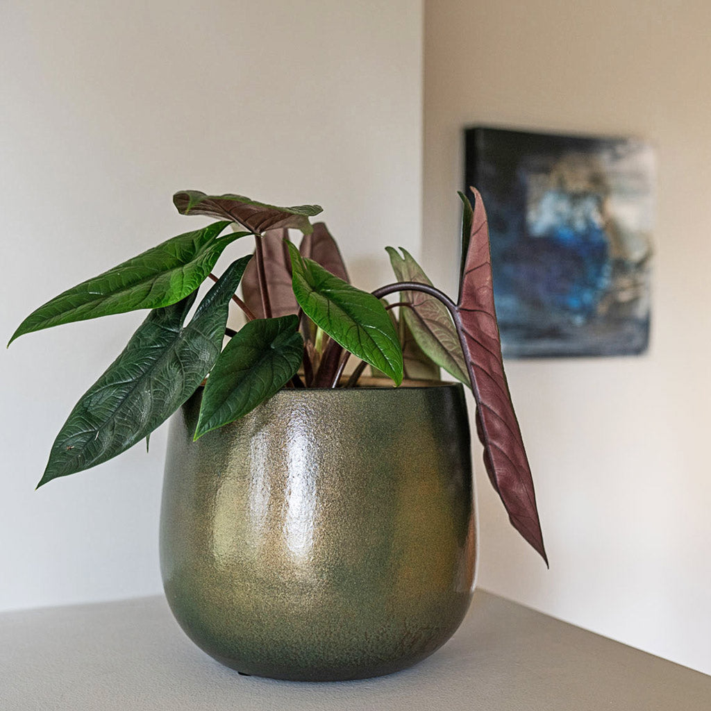 Esra Plant Pot - Shiny Green - Quality Plant Pots | Hortology - HORTOLOGY