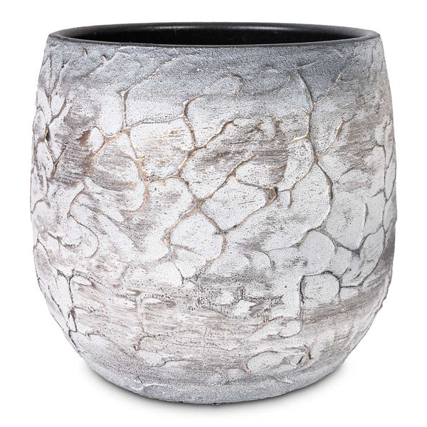 Plant Pots: 15cm Opening - Quality Plant Pots | HORTOLOGY Tagged ...