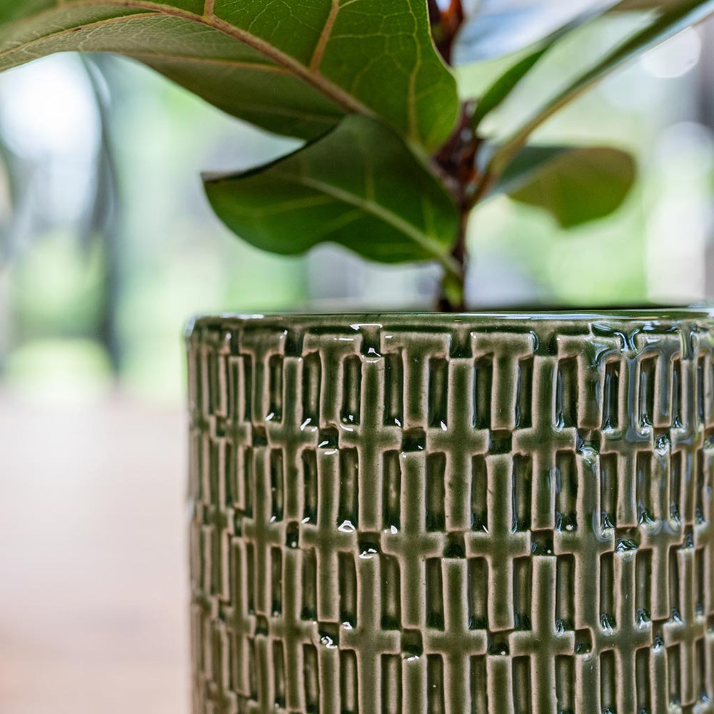 Flor Plant Pot - Green - Quality Indoor Plant Pots | Hortology - HORTOLOGY