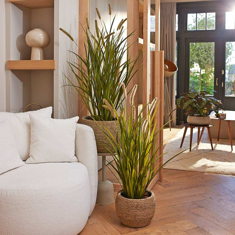 Cattails Grass - Quality Artificial Plants | HORTOLOGY