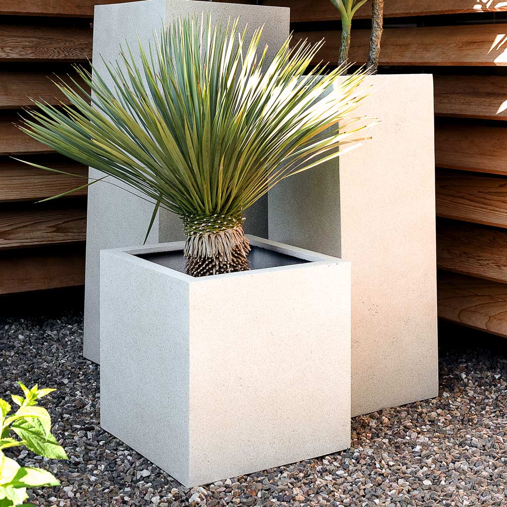 Grigio Cube Planter - Antique White Concrete Planter | Hortology ...