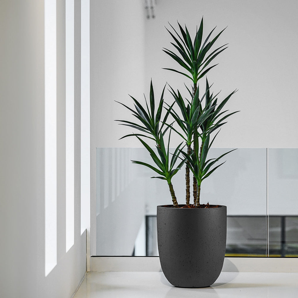 Grigio Tall Egg Pot Planter - Anthracite Concrete | Hortology - HORTOLOGY