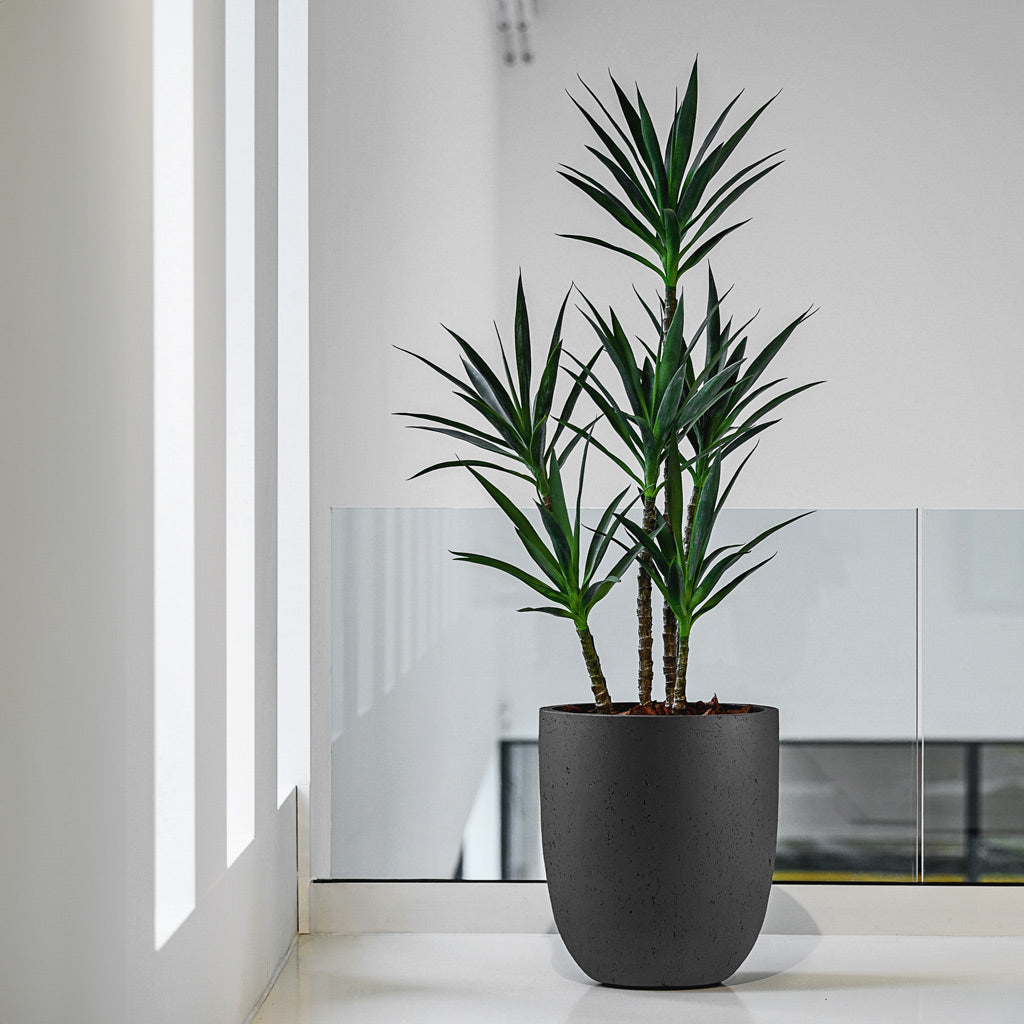 Grigio Tall Egg Pot Planter - Anthracite Concrete | Hortology - HORTOLOGY