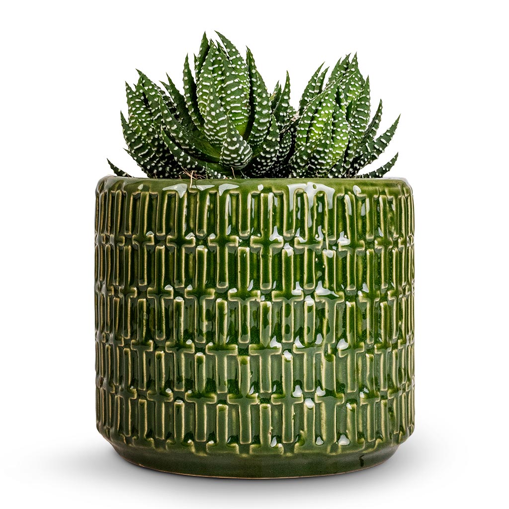 Flor Plant Pot - Green - Quality Indoor Plant Pots | Hortology - HORTOLOGY
