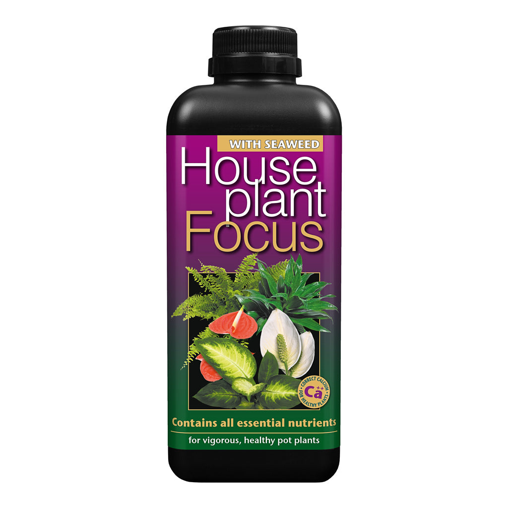 Houseplant Focus - Plant Nutrition - Houseplant Care | Hortology ...