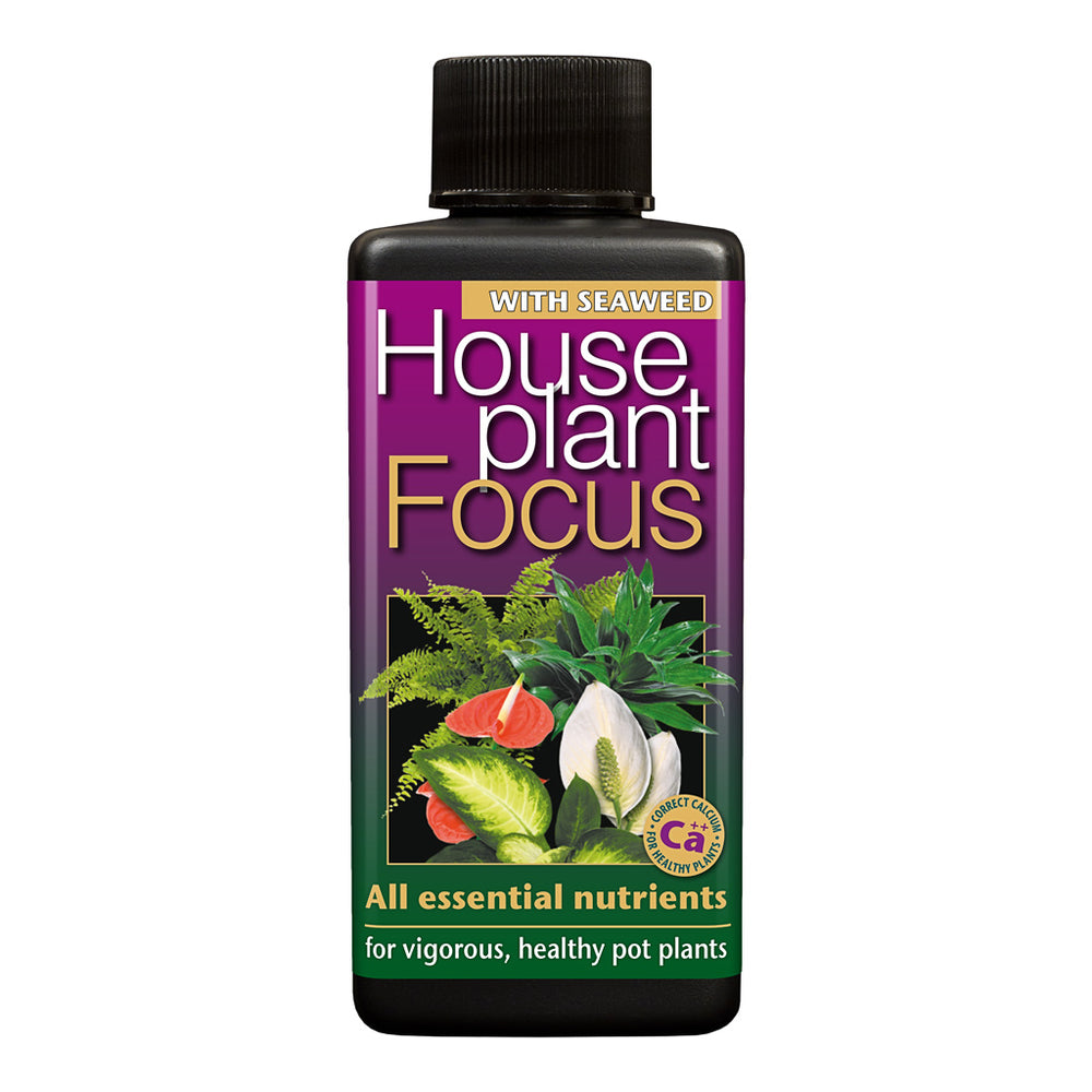 Houseplant Focus - Plant Nutrition - Houseplant Care | Hortology ...