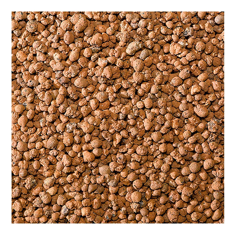 Hydrogranules 4-8mm - Houseplant Care | Hortology - HORTOLOGY