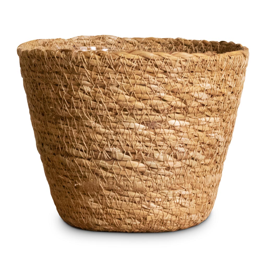 Indoor Plant Pots in Natural Materials - Indoor Plant Pots - Hortology ...