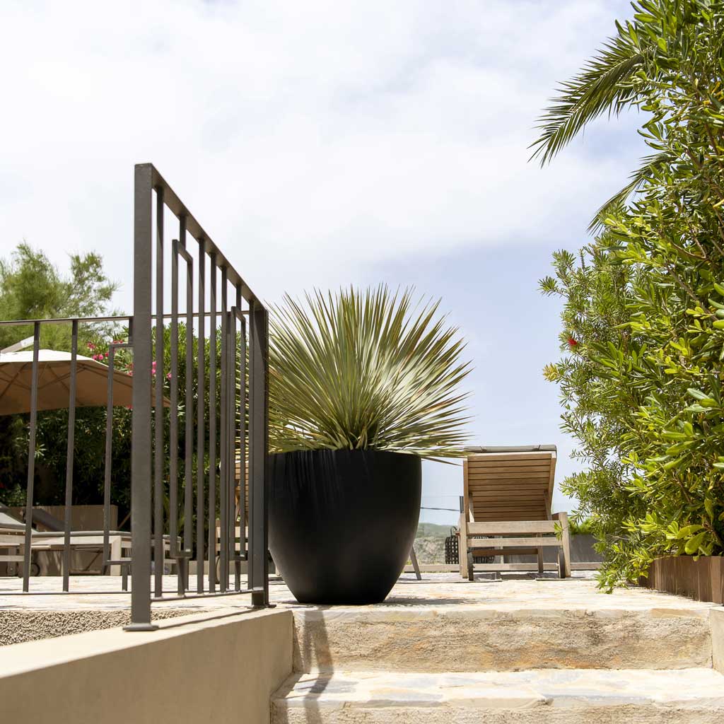 Jesslyn Natural Planter - Black - Quality Planters | Hortology - HORTOLOGY