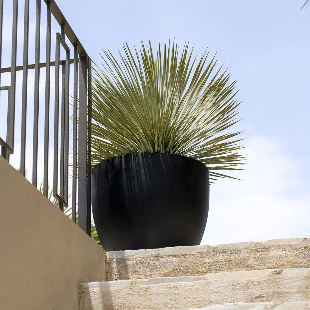Jesslyn Natural Planter - Black - Quality Planters | Hortology - HORTOLOGY