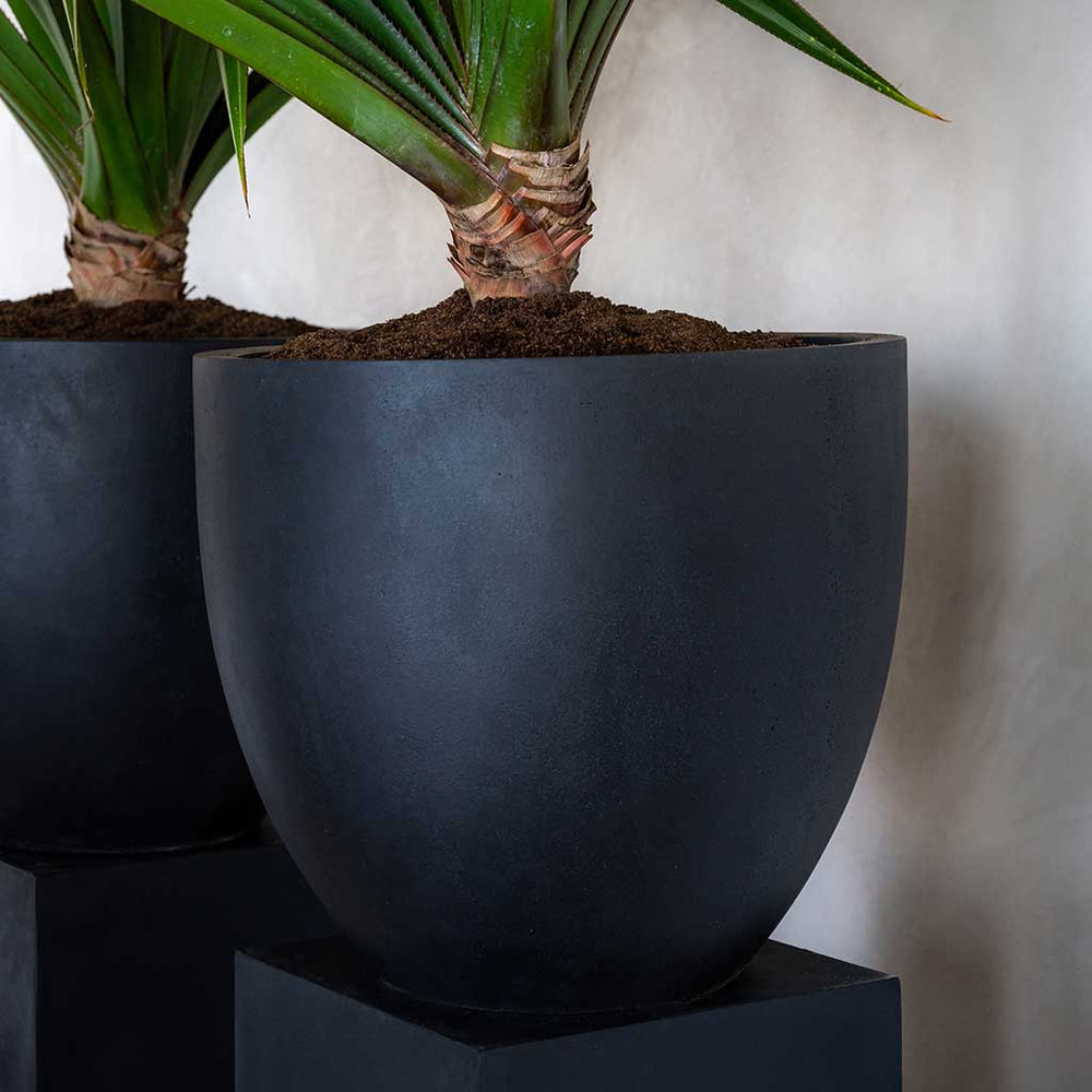 Jesslyn Natural Planter - Black - Quality Planters | Hortology - HORTOLOGY