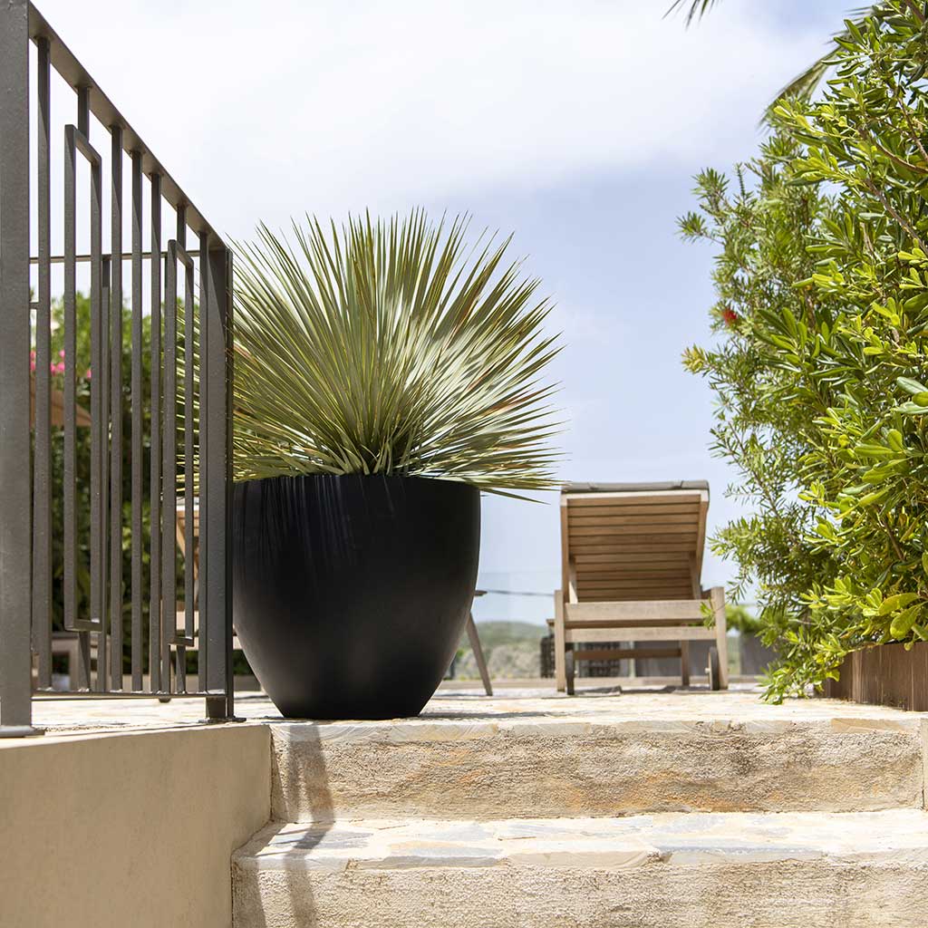 Jesslyn Natural Planter - Black - Quality Planters | Hortology - HORTOLOGY