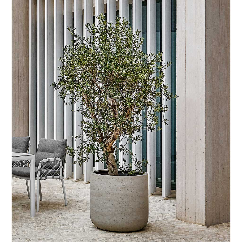 The Urban Planters Lookbook | Hortology Quality Planters - HORTOLOGY