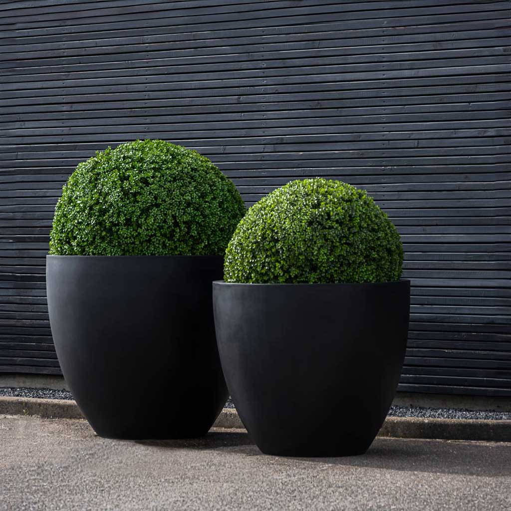 Jumbo Jesslyn Natural Planter - Black - Quality Planters | Hortology ...