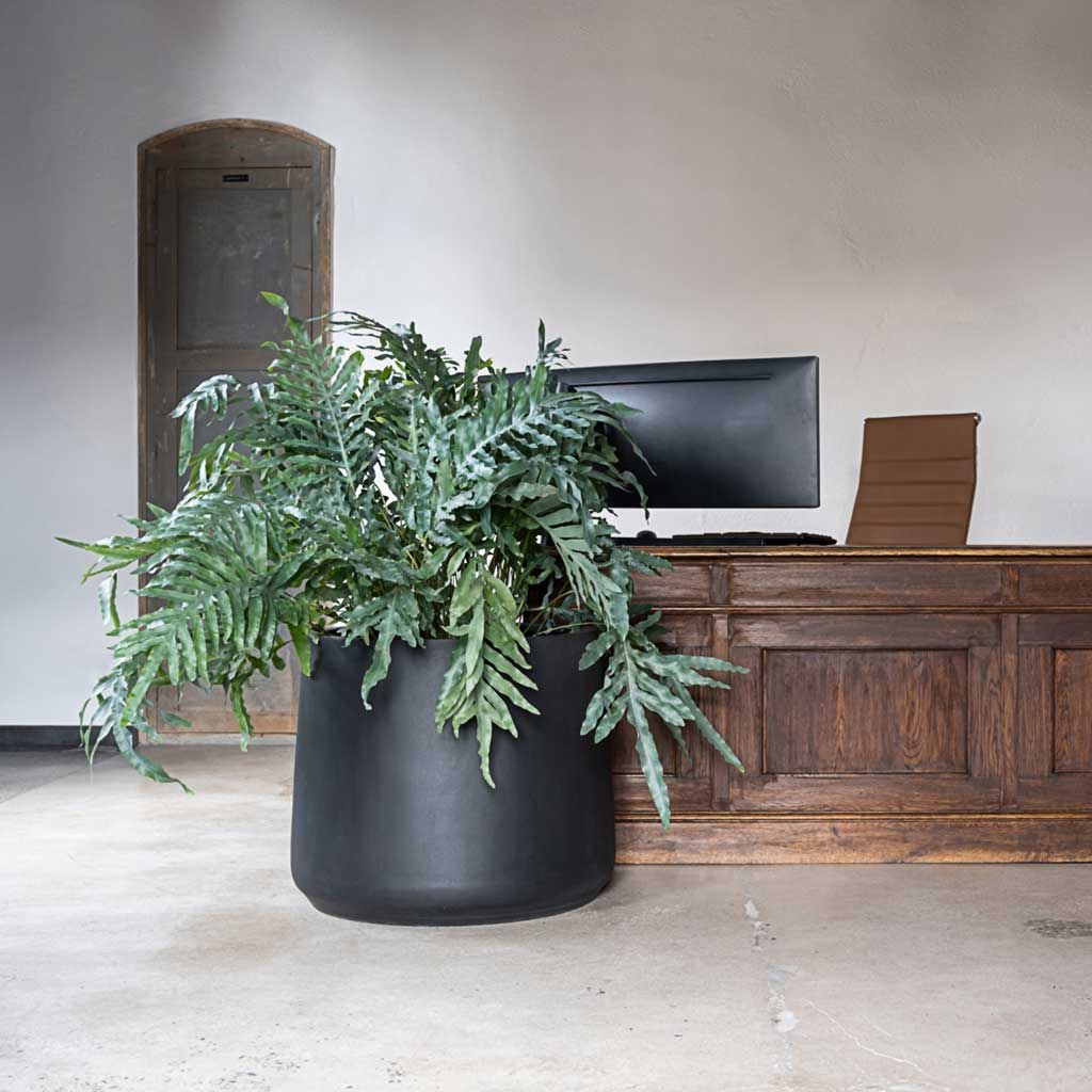 Jumbo Patt Natural Planter - Black - Quality Planters | Hortology ...