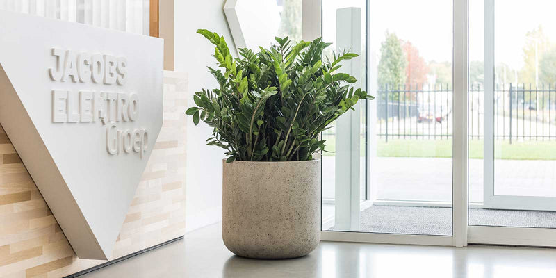 The Urban Planters Lookbook | Hortology Quality Planters - HORTOLOGY