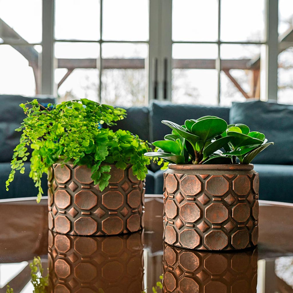 Jurre Plant Pot - Rose Rust - Quality Plant Pots | HORTOLOGY