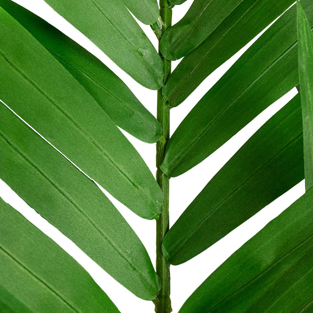 Kentia Palm - Howea forsteriana - Quality Artificial Palms | HORTOLOGY