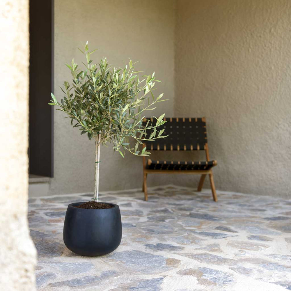 Kevan Natural Planter - Black - Quality Planters | Hortology - HORTOLOGY