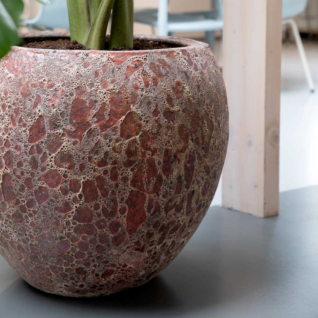 Lava Balloon Relic Planter - Pink - Quality Planters | Hortology ...