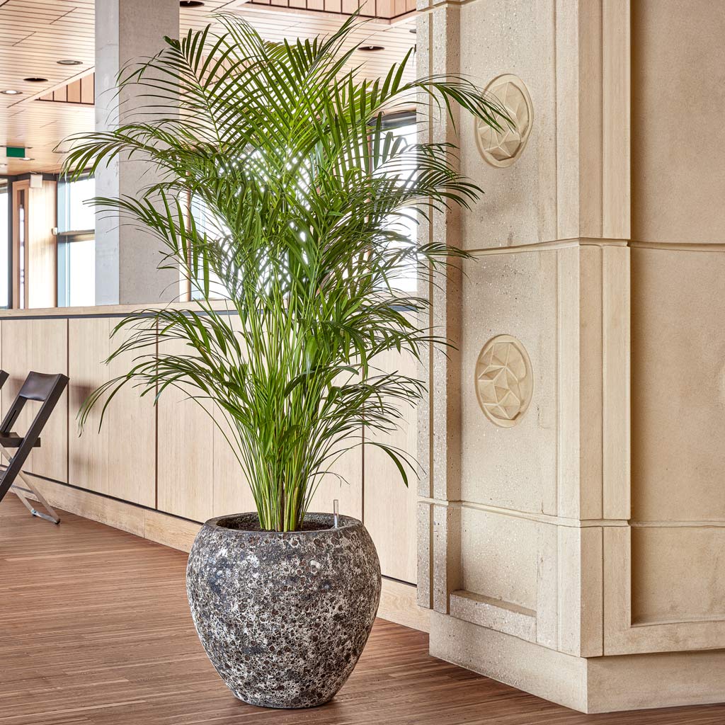 Lava Balloon Relic Planter - Rust - Quality Planters | Hortology ...