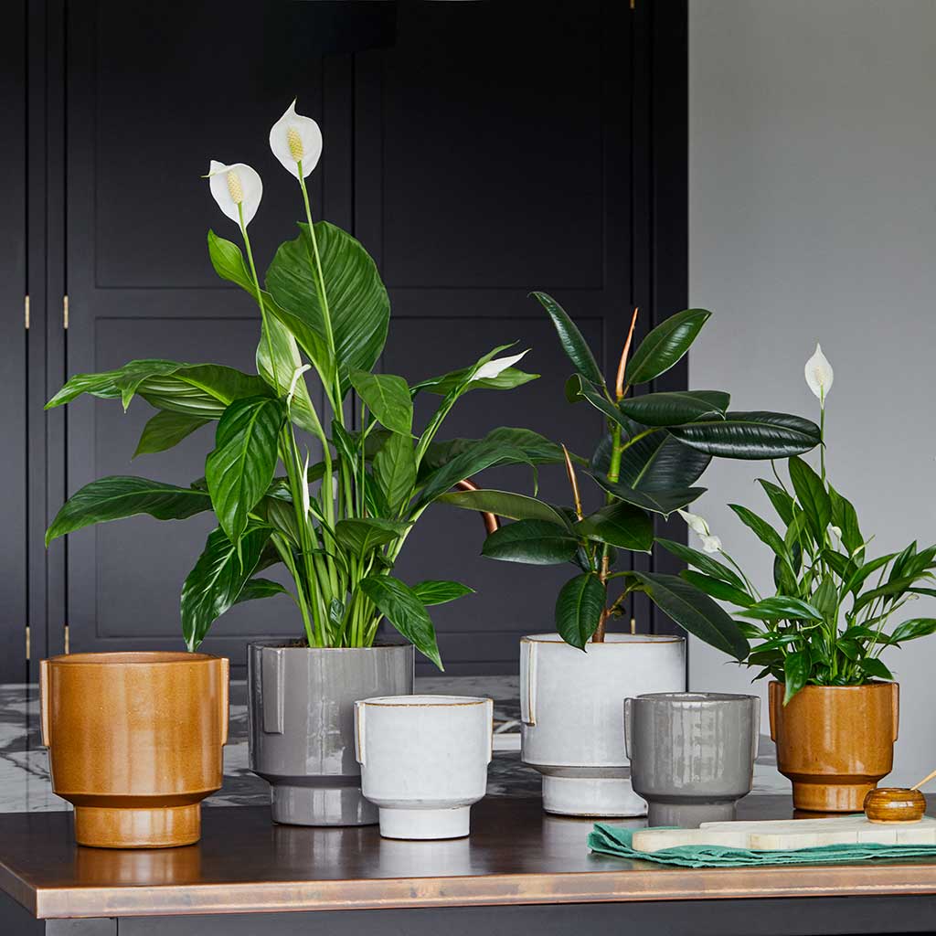 Aries Handles Plant Pot - Charcoal - Quality Plant Pots | Hortology ...