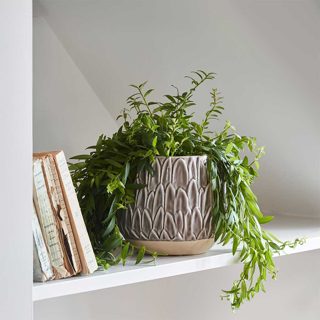 Arles Leaf Plant Pot - Mocha - Quality Plant Pots | Hortology - HORTOLOGY