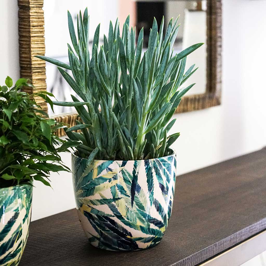 Monza Plant Pot - Botanical Fern - Quality Plant Pots | Hortology ...