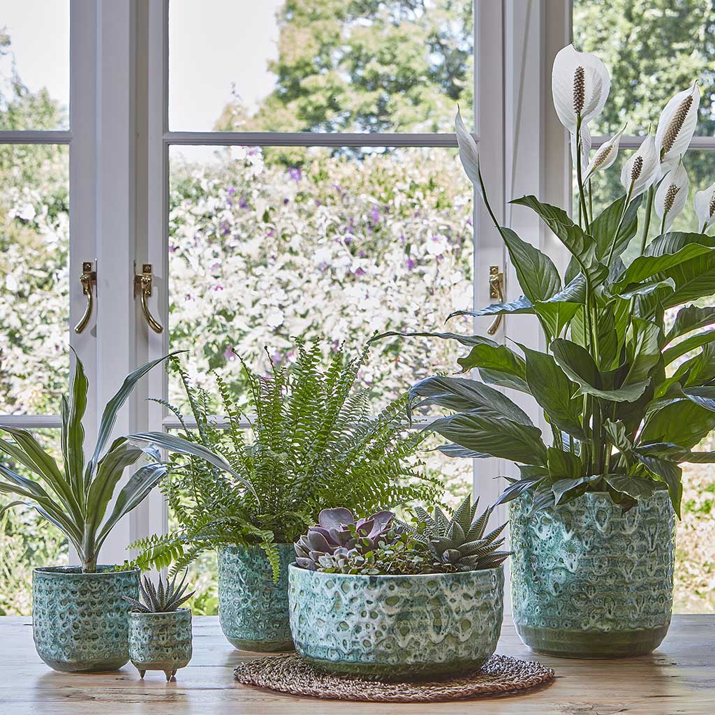 Ocean Glaze Plant Pot - Emerald - Quality Plant Pots | Hortology ...