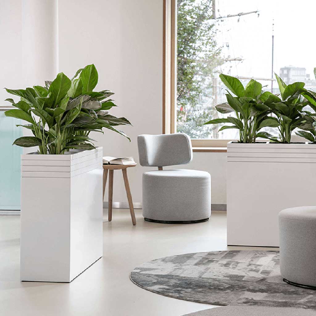Line-Up Rectangle Planter - Matt White | Hortology - HORTOLOGY