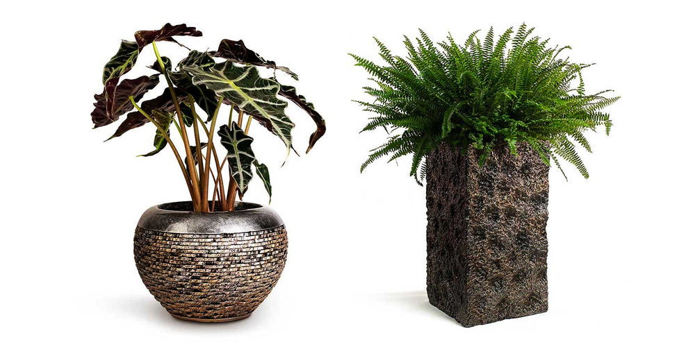 The Luxe Lite Planters Lookbook | Hortology Quality Planters - HORTOLOGY