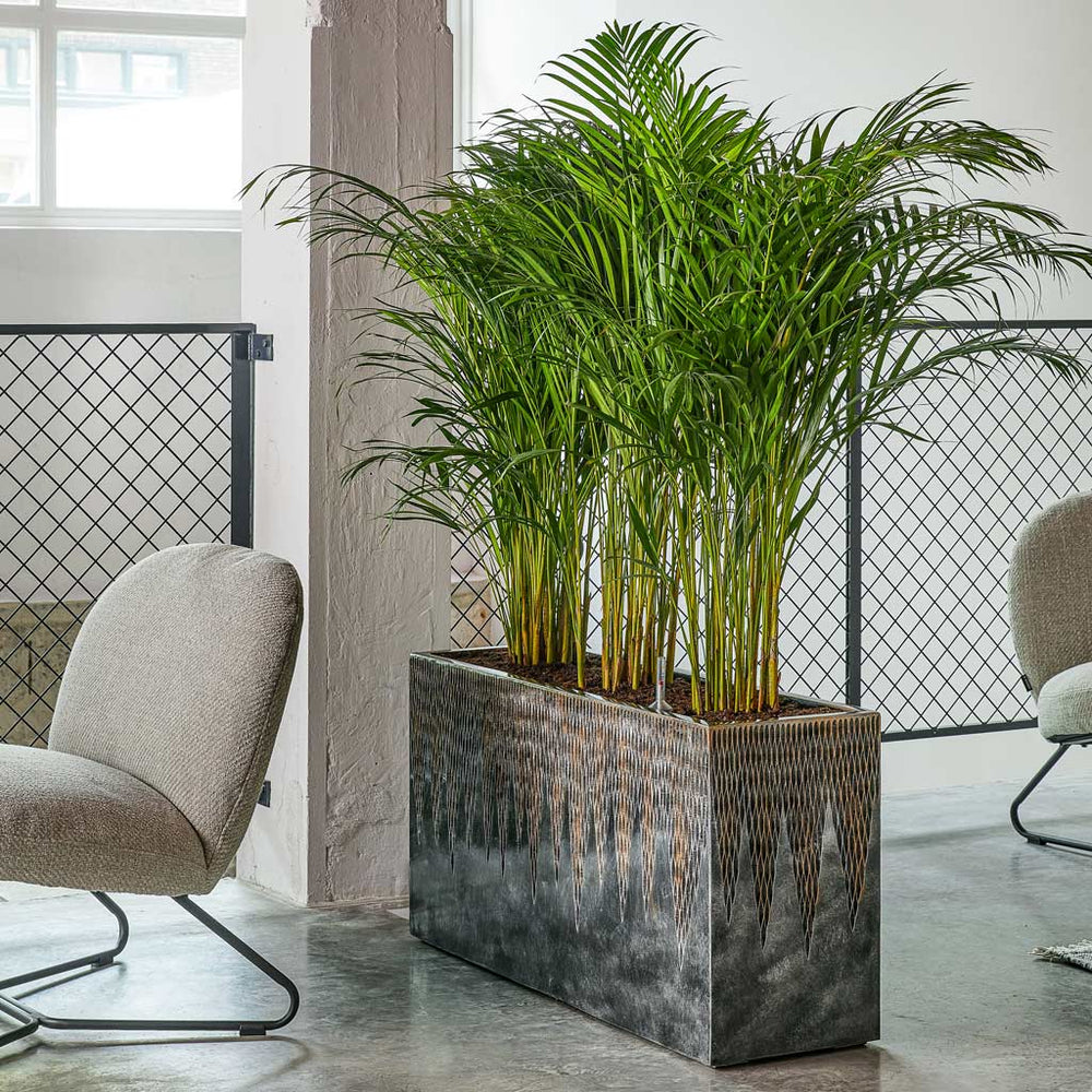 Luxe Lite Comet Trough Planter - Bronze Planters | Hortology - HORTOLOGY