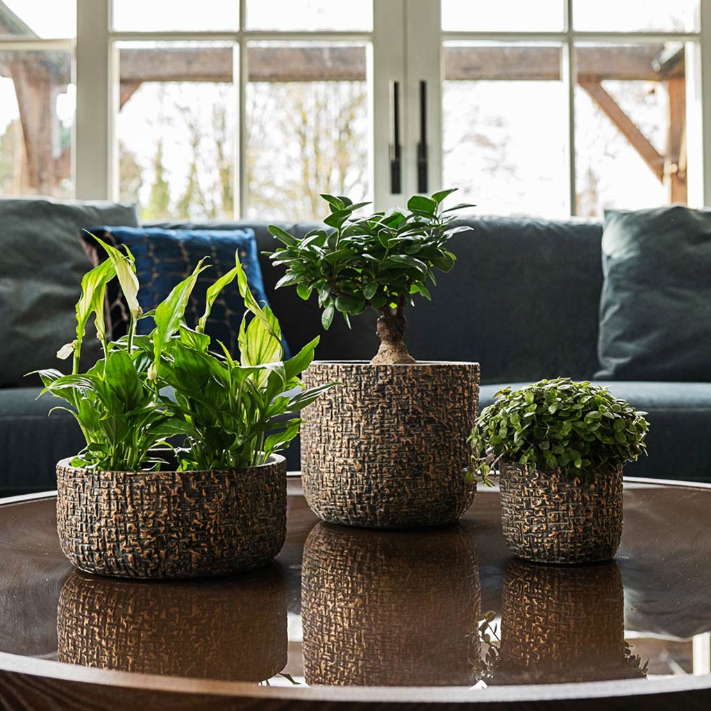 Maxim Plant Pot - Shiny Earth - Quality Plant Pots | Hortology - HORTOLOGY