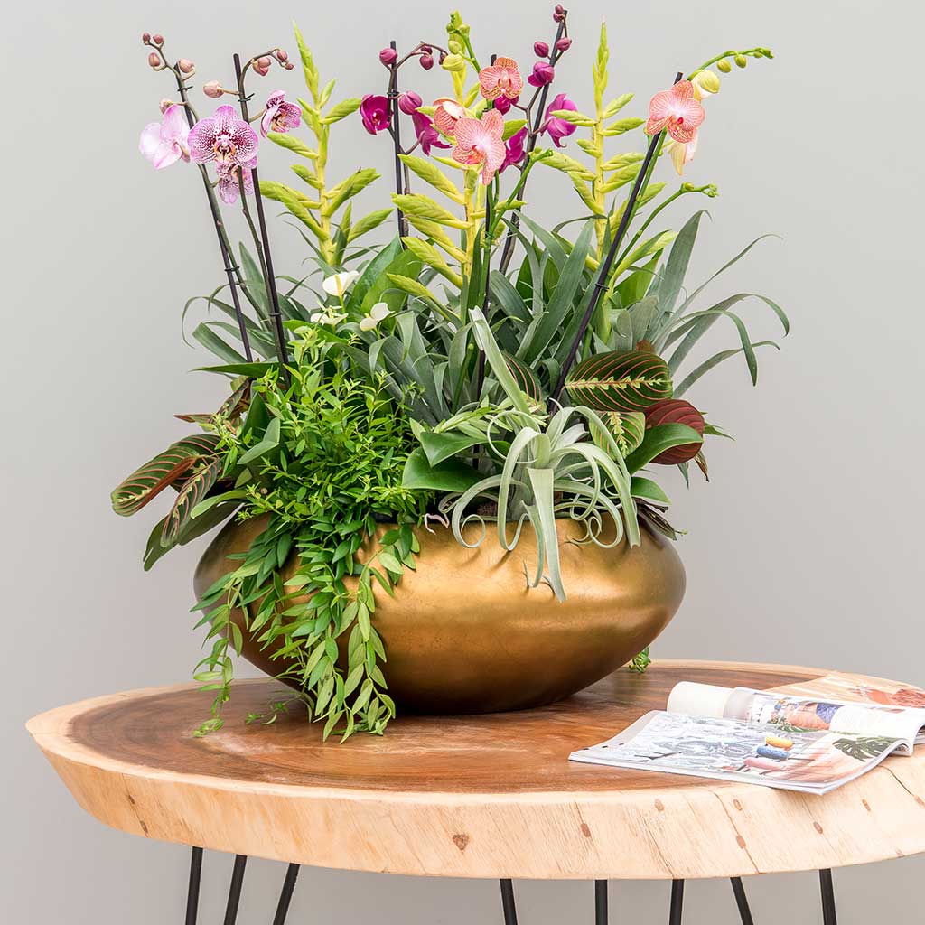 The Metallic Planter Collection | Hortology Planters - HORTOLOGY